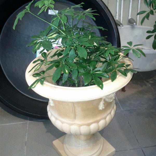 Rotoplastics Trinidad Ltd - Office in El Socorro