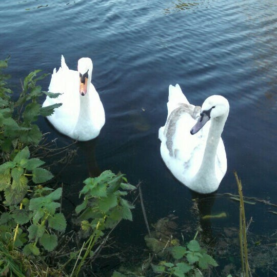 Twelfth Lock - Hotel in Castleknock