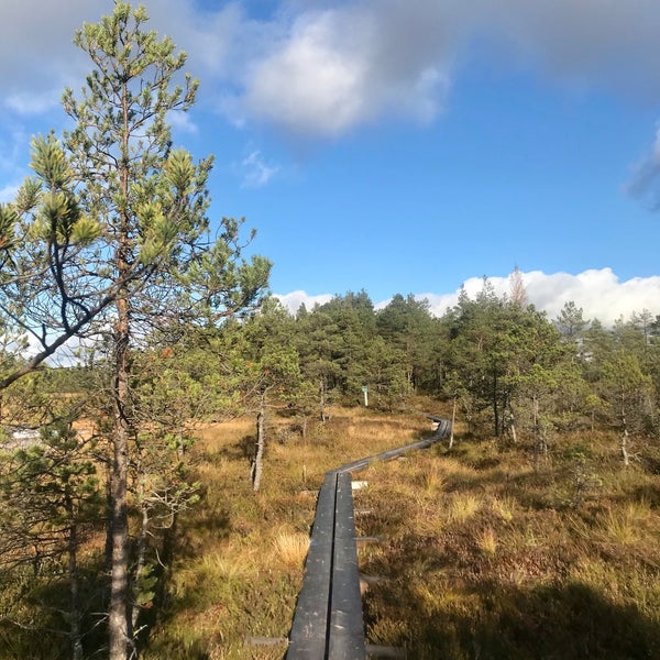 Mukri raba vaatetorn - Eidapere-Võidula tee
