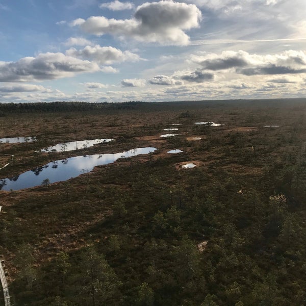 Mukri raba vaatetorn - Eidapere-Võidula tee