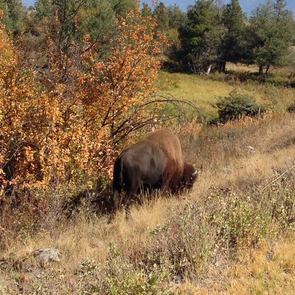 National Bison Range - Nature Preserve