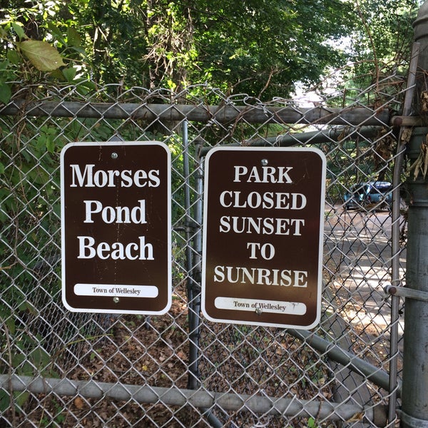 Photos at Morses Pond - 4 tips