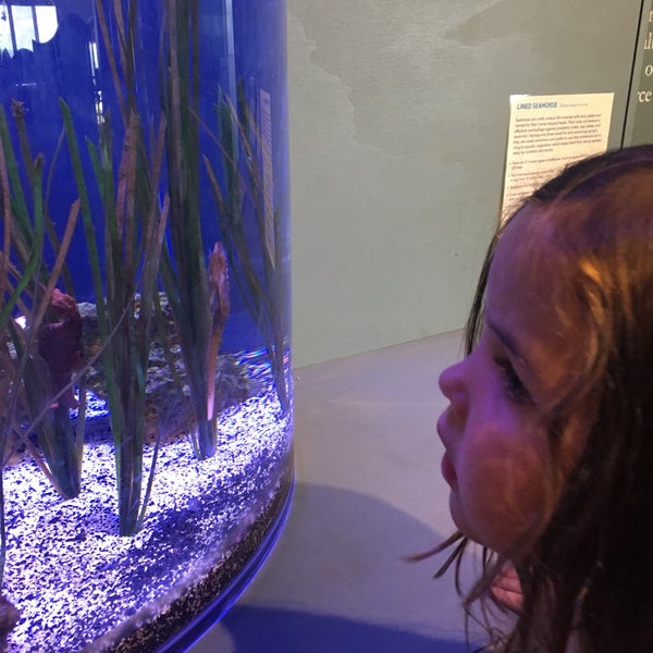 Seacoast Science Center - 7 tips from 678 visitors