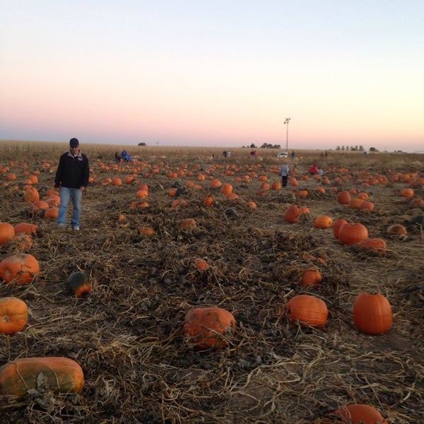 Linder Farms - Meridian, ID