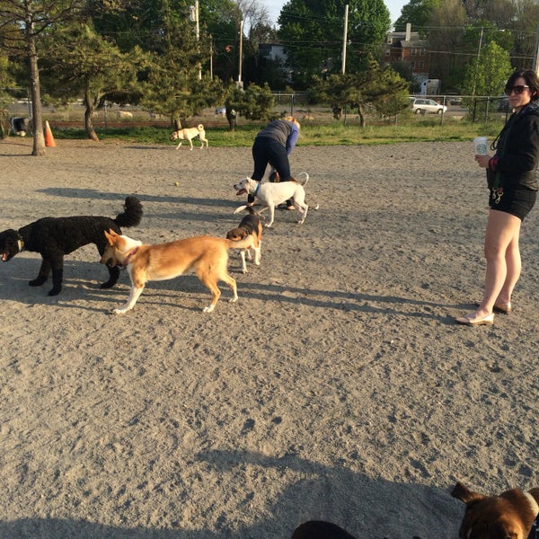 Salem Dog Park - Salem, MA