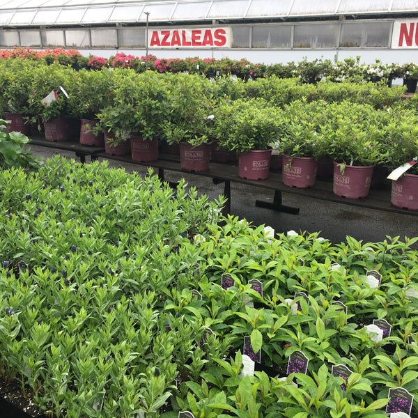 Photos at Kane's Flower World - Rt 114