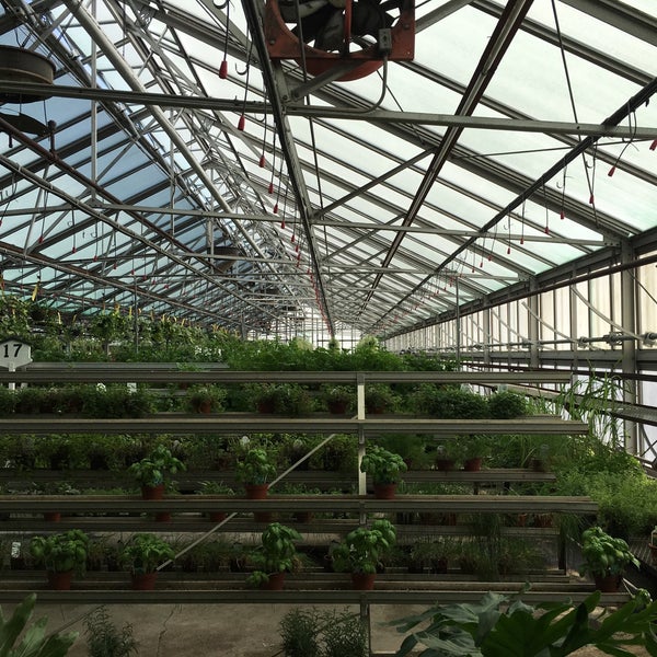 Photos at Kane's Flower World - Rt 114