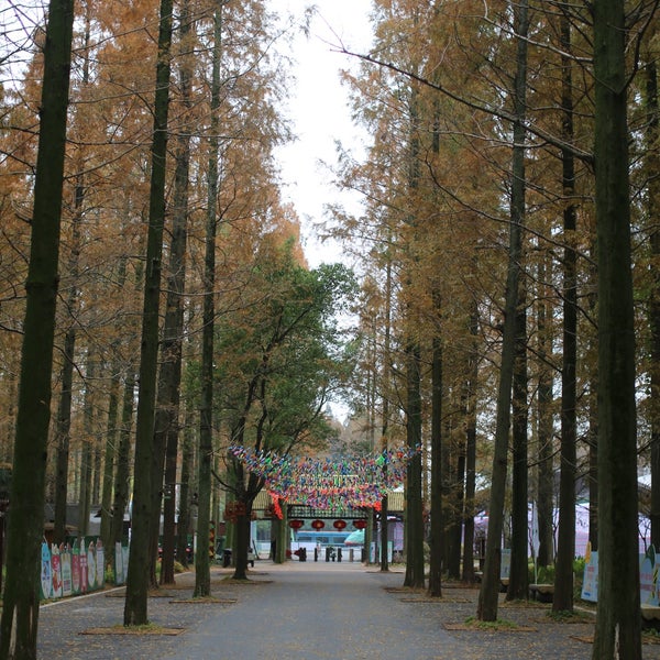 Dongping National Forest Park (东平国家森林公园) - Park in Chongming