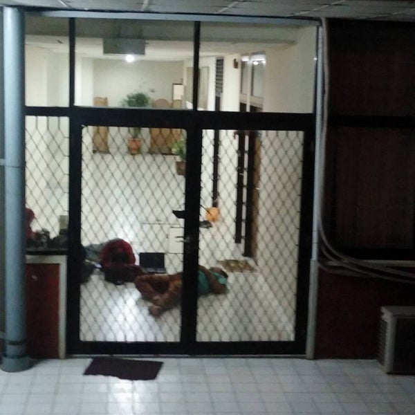 Auditorium Rektorat IPB - 34 visitors