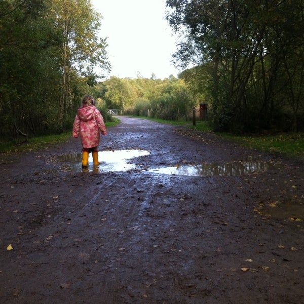 Shorne Woods Country Park - Park