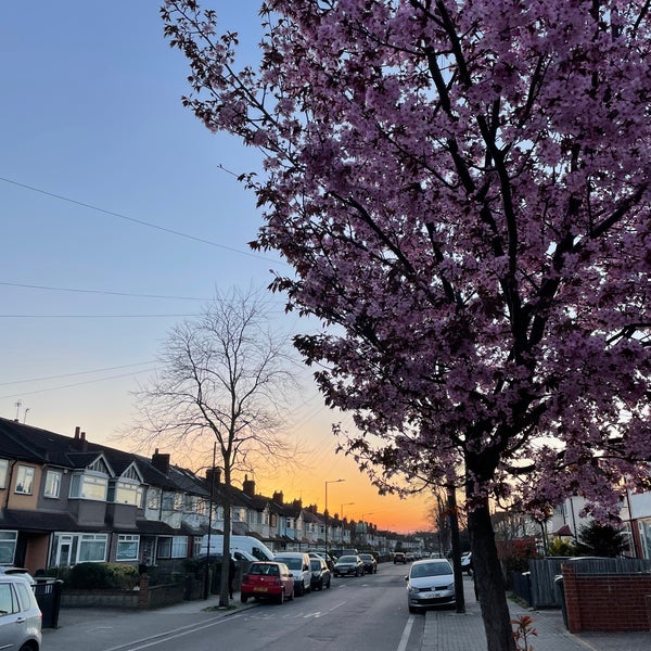 Norbury - Neighborhood