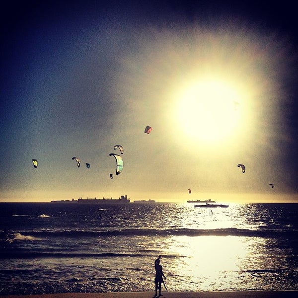 Dolphin Beach - Beach in Cape Town
