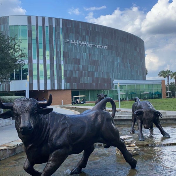 Marshall Student Center (MSC) - New Tampa - 45 tips from 3947 visitors