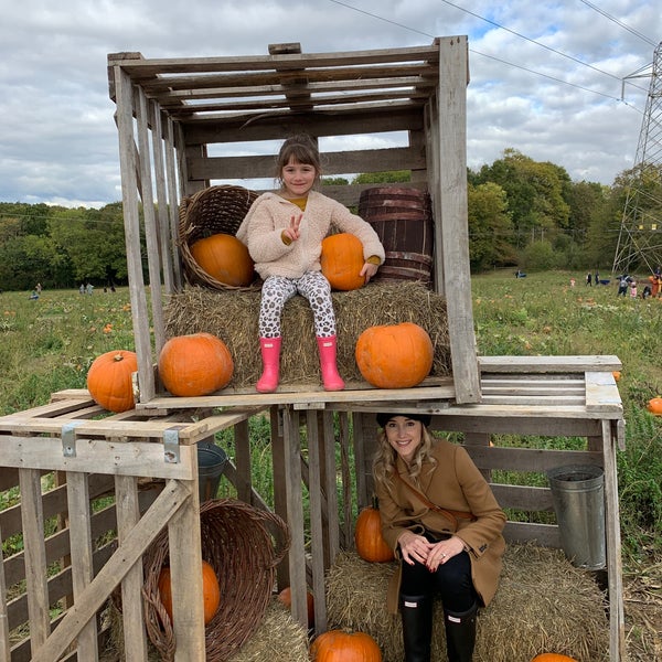 Tulleys Farm - 8 tips from 378 visitors