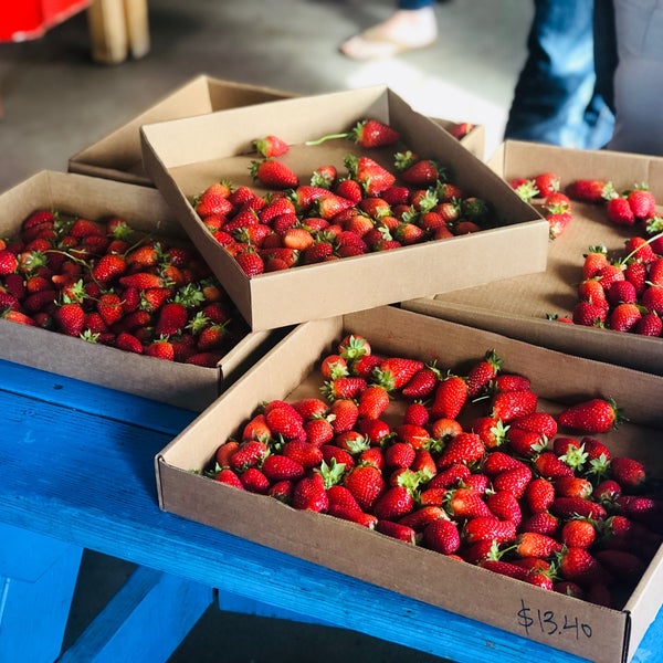 Swanton Coastways Ranch U-Pick - 2 tips from 55 visitors