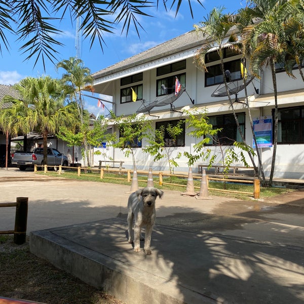 ที่ว่าการอำเภอปาย (Pai District Office) - Town Hall