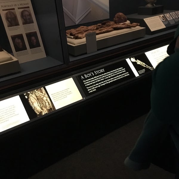 Photos at Osteology: Hall of Bones - Smithsonian's National Museum Of ...