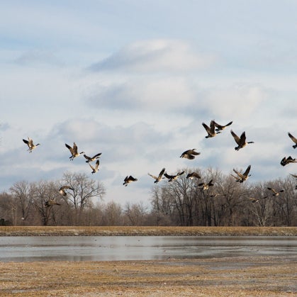 Edmund Orgill Park - Park
