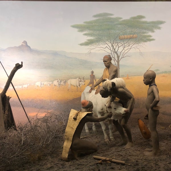 Hall of African Peoples - Exhibit in New York