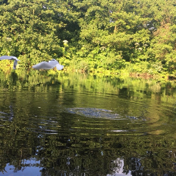 Lagan Meadows Nature Reserve - Stranmillis - 3 tips from 87 visitors