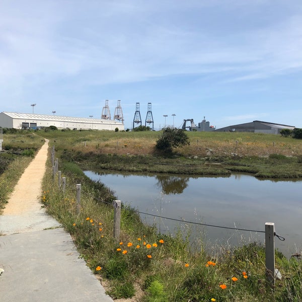 Hunters Point Naval Shipyard - Harbor / Marina in San Francisco