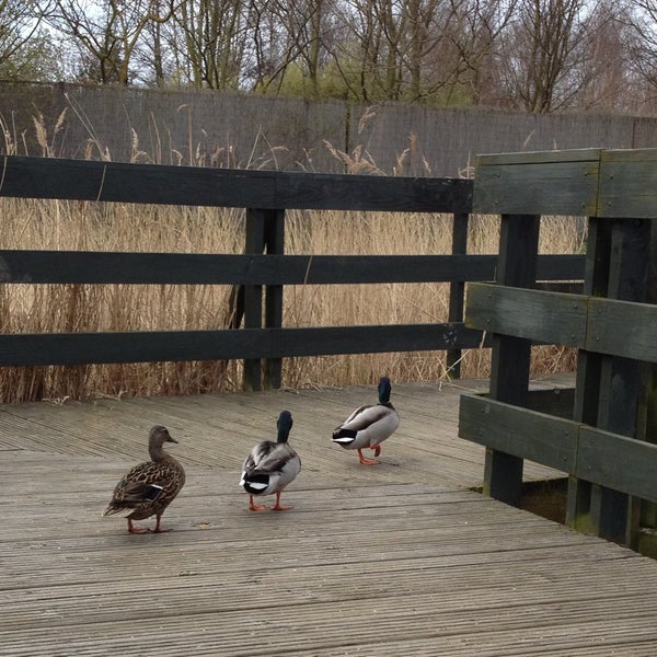 London Wetland Centre - Nature Preserve in Barnes
