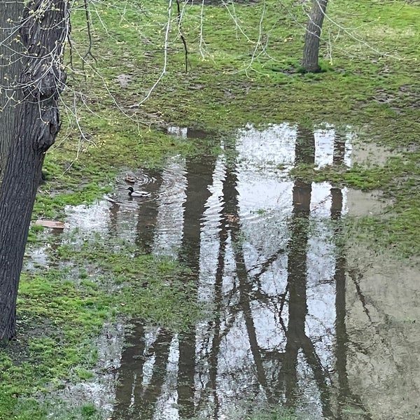 Richview Park - Richview - 4 tips from 43 visitors