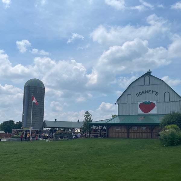 Downey's farm - Farm in Caledon