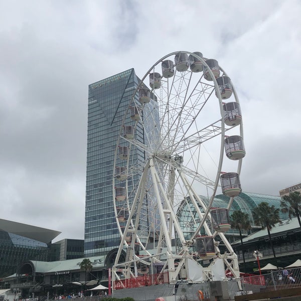 Darling Harbour Ferris Wheel - Star Of The Show - Attraction in Pyrmont