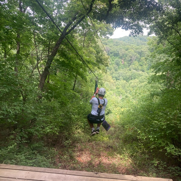 Grafton Zipline Adventures - 94 visitors