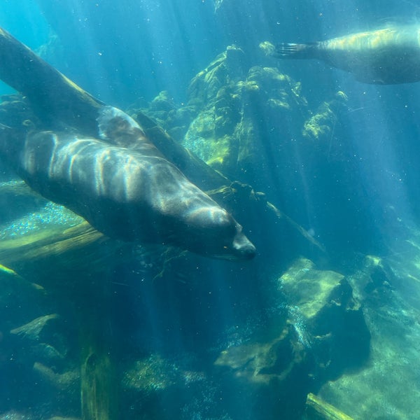 Photos at Henry Doorly Zoo and Aquarium - Zoo in Omaha