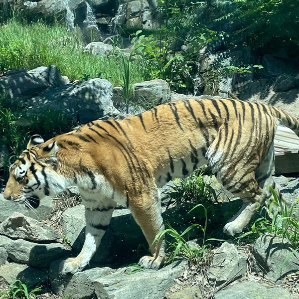 Henry Doorly Zoo Aquarium