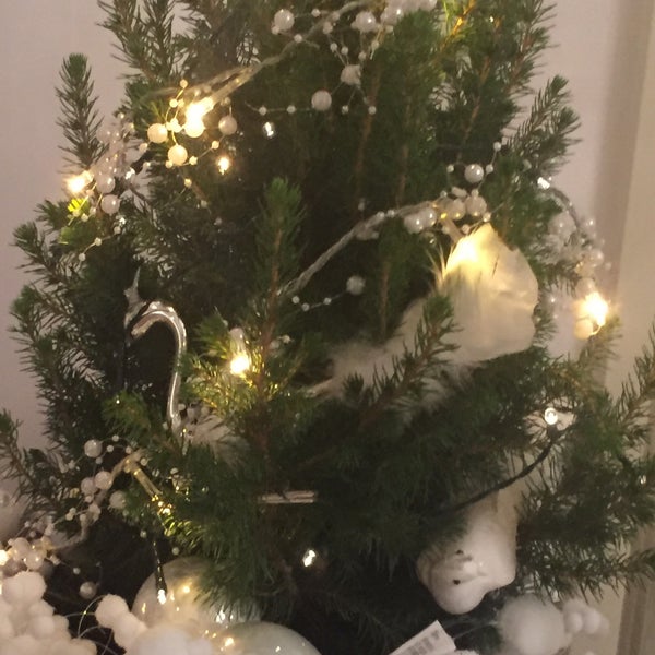 Labutina - Spa in Amsterdam