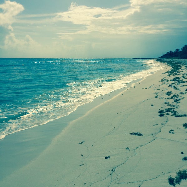 Blue Venado Beach Club - 18 tips from 757 visitors