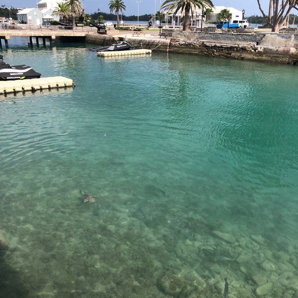 Wahoo's Bistro - Seafood Restaurant