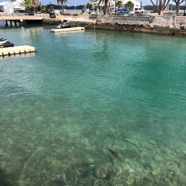 Wahoo's Bistro - Seafood Restaurant