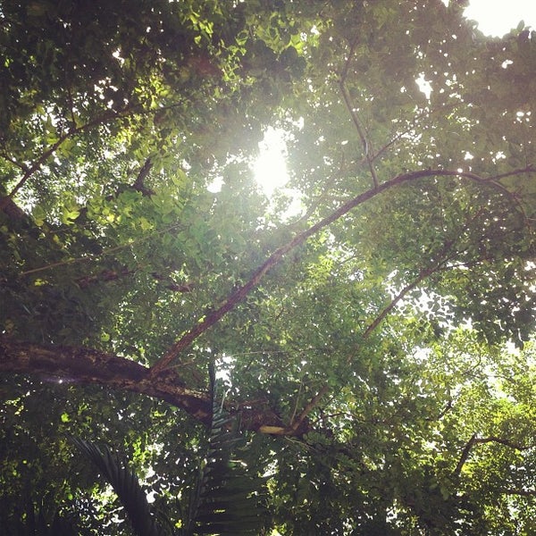 Photos at UP Lagoon - Quezon City District 4 - 3 tips from 180 visitors