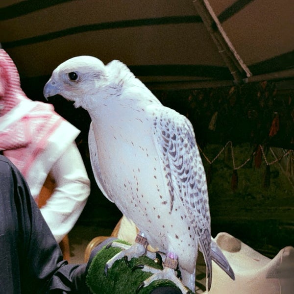 Sadu Escape | سدو سكيب - Ad Dir‘īyah, منطقة الرياض‎