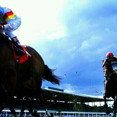 The Downs at Albuquerque Racetrack & Casino - 201 California St NE