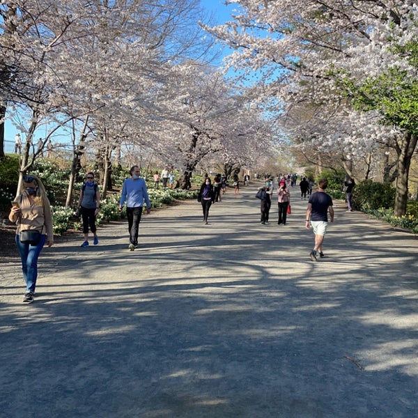Photos at Engineers' Gate - Central Park - 5th Ave