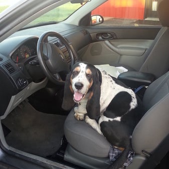 Amazing Auto Repair & Transmission - Automotive Repair Shop