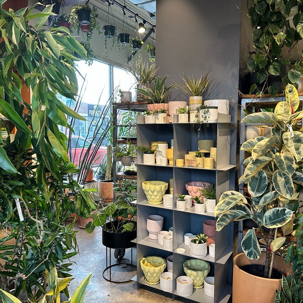 Sprout Home - West Town - 15 tips from 860 visitors