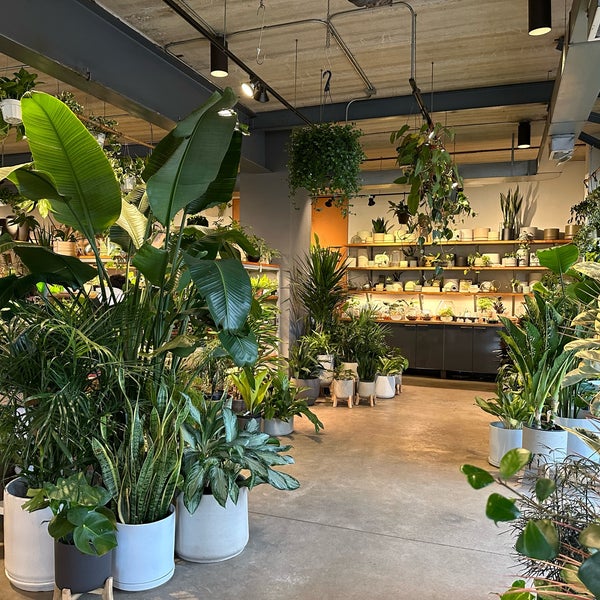 Sprout Home - West Town - 15 tips from 860 visitors