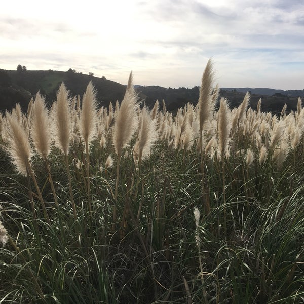 Pacifica Quarry Park - Hiking Trail in Pacifica