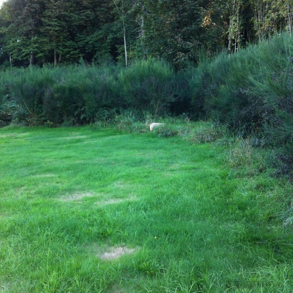Cushman Nature Trail - Hiking Trail in Gig Harbor