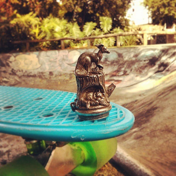 Ithaca Pool - Swimming Pool