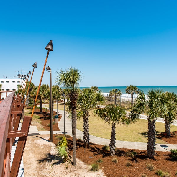 Sharkey's Oceanfront Restaurant - 16 tips from 899 visitors