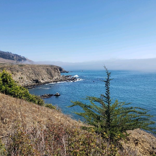 Shell Beach - 2 tips