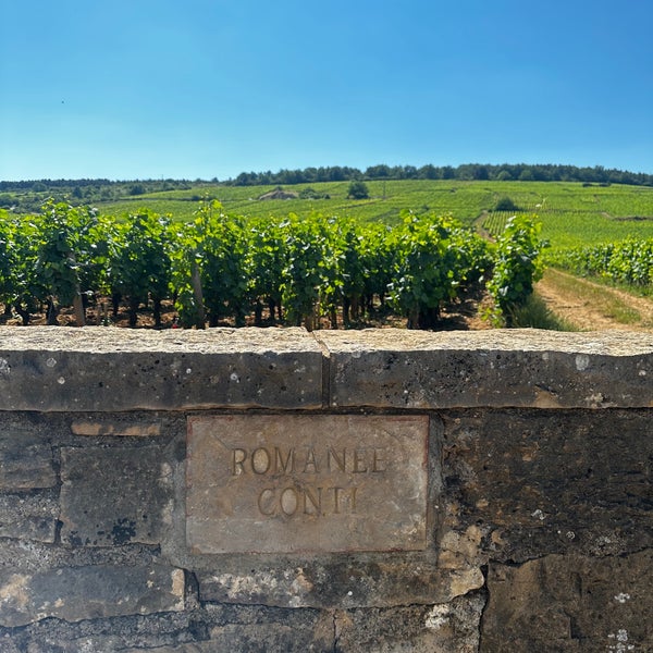 Romanée Conti Grand Cru - 8 tips from 514 visitors