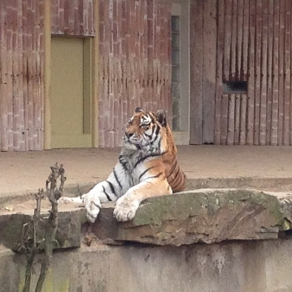 Zoo Antwerpen - Antwerp - 109 tips from 39054 visitors